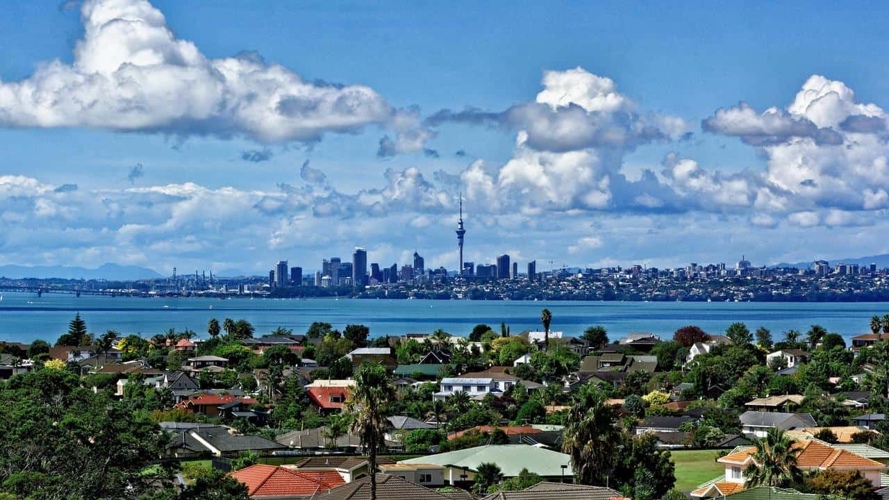 Pest control West Harbour