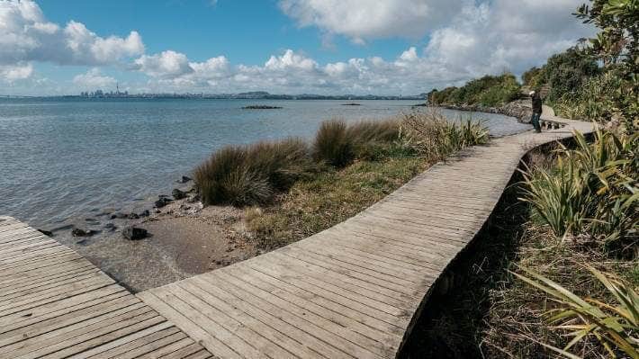 Pest Control Te Atatu Peninsula | ACES pest control